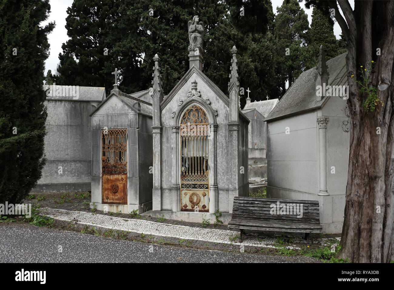 Alley of an old european cemetery Stock Photo - Alamy