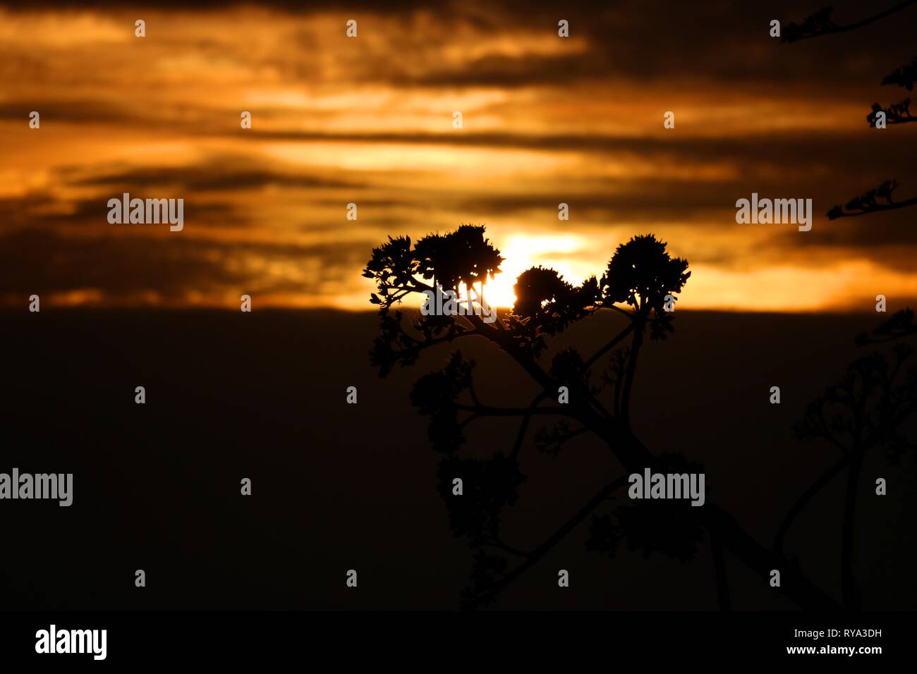 Amazing sunset collection Stock Photo - Alamy