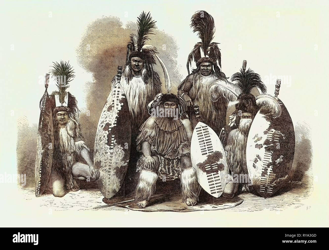 Kaffirs hi-res stock photography and images - Alamy