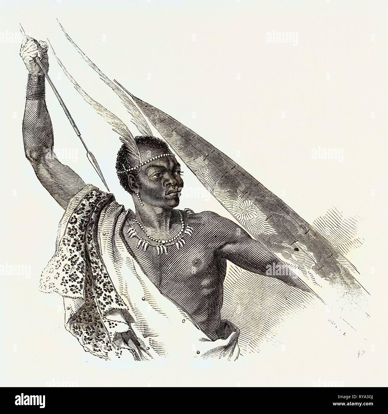 Victorian kaffir hi-res stock photography and images - Alamy