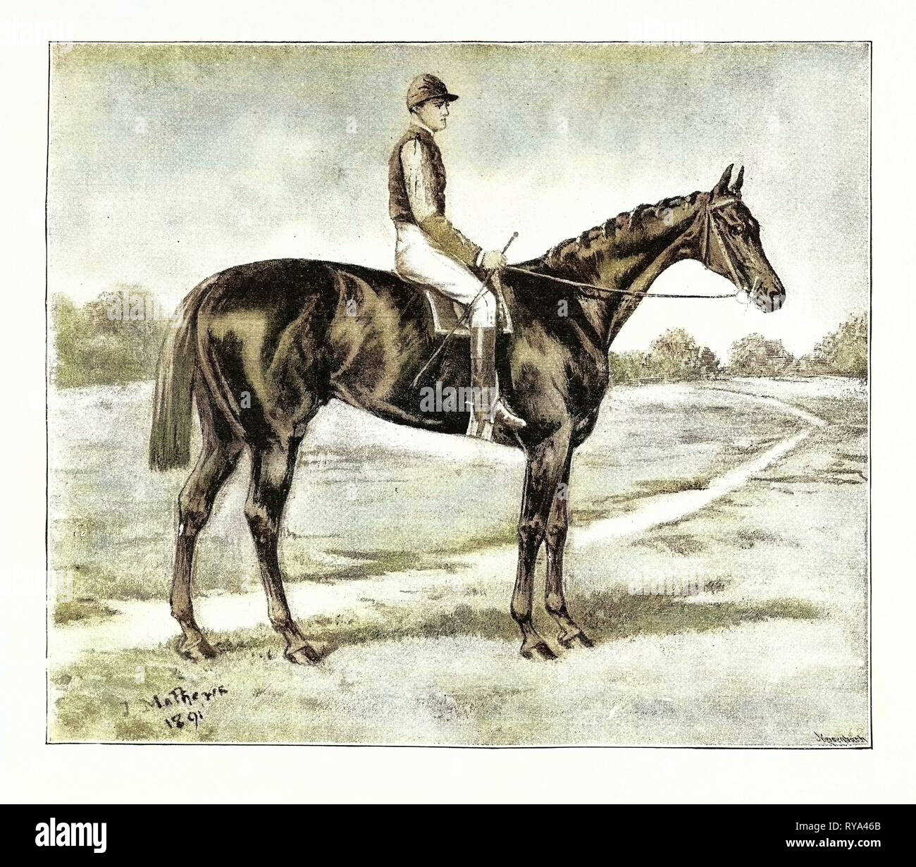 Lord Alington's Common Winner of the Two Thousand Guineas and Favourite ...