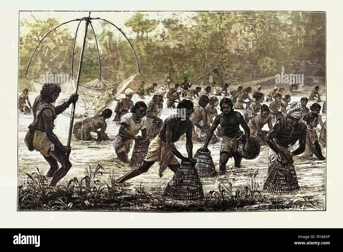 History image of assam hi-res stock photography and images - Alamy