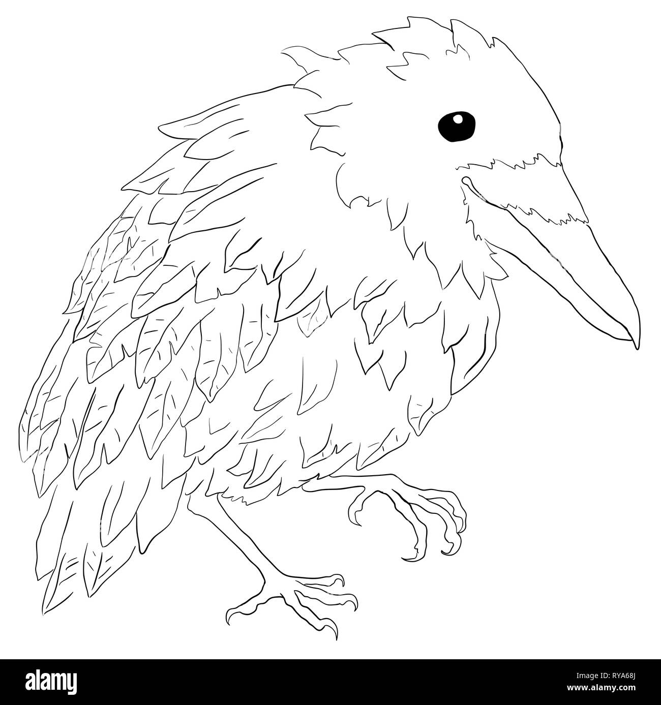 Small crow bird, vector, horizontal line drawing, over white, isolated ...