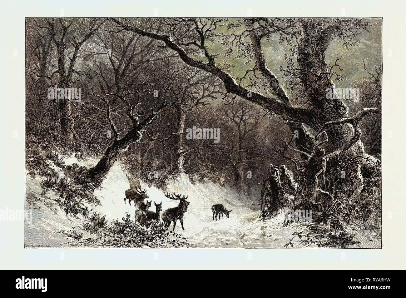 Scandinavian arts hi-res stock photography and images - Alamy