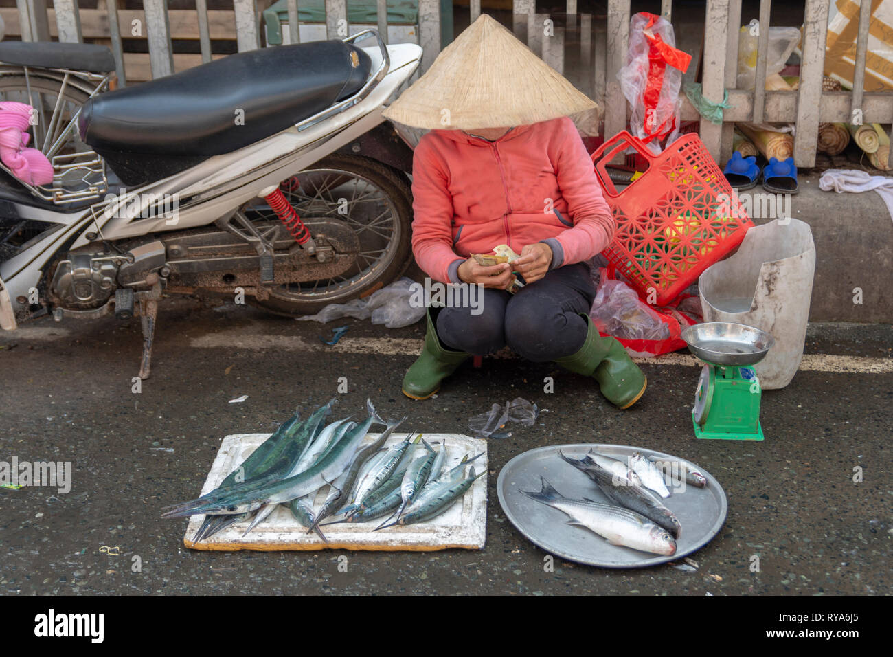 Fish on the street in front of a person counting money, picture from ...
