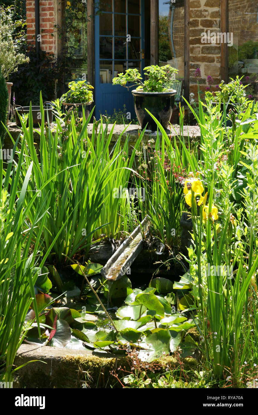 Small water feature garden hi-res stock photography and images - Alamy