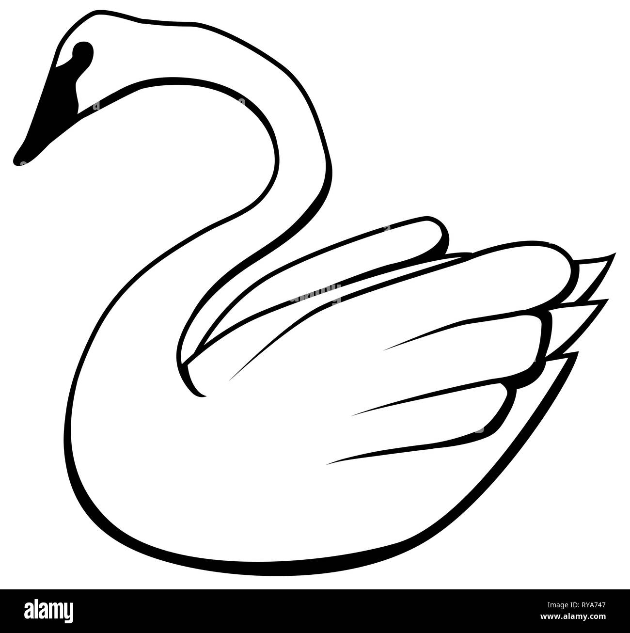 Swan Line Art