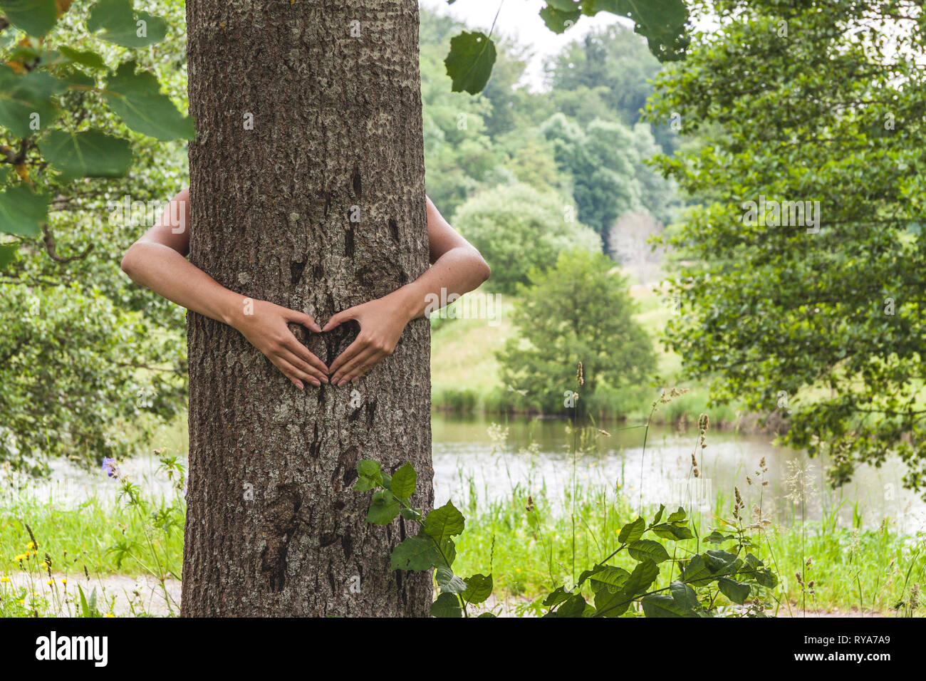 Person hugging a tree from behind, forming a heart shape with the hands ...