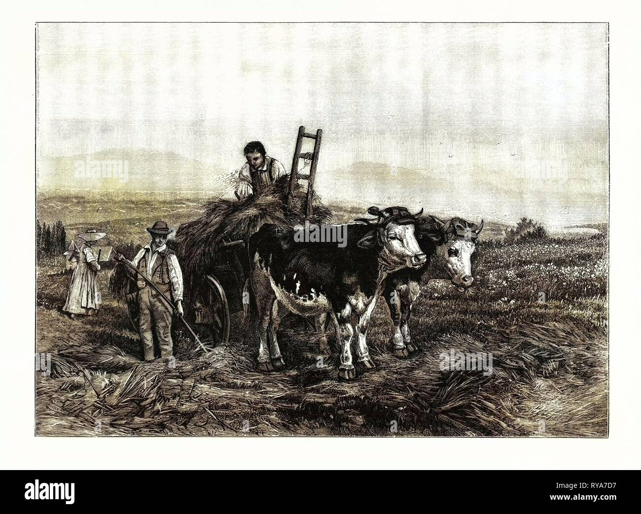 Hay making Cut Out Stock Images & Pictures - Alamy