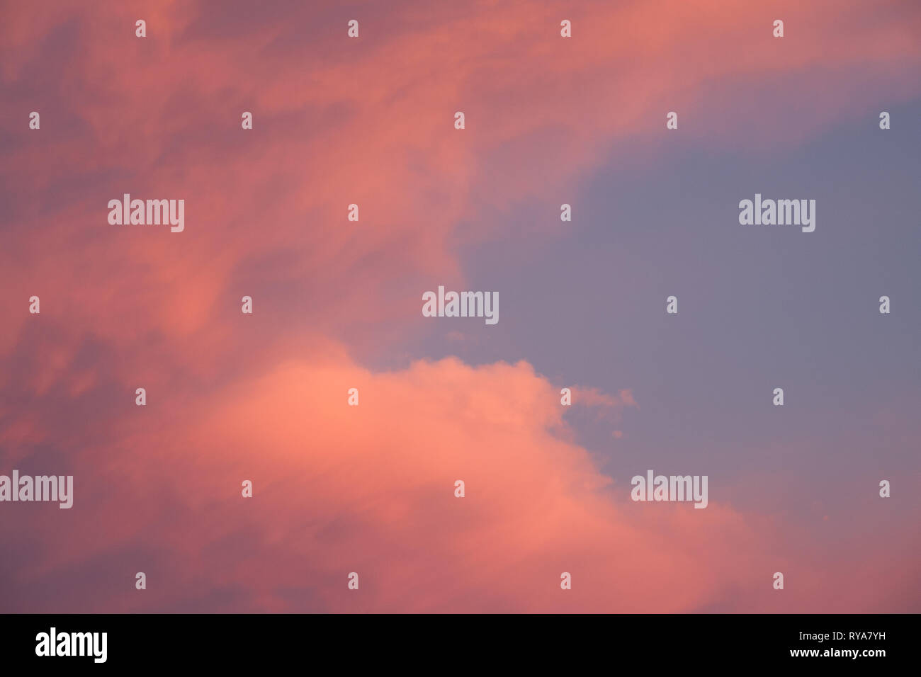 Beautiful blue sky in pink sunset clouds Stock Photo - Alamy