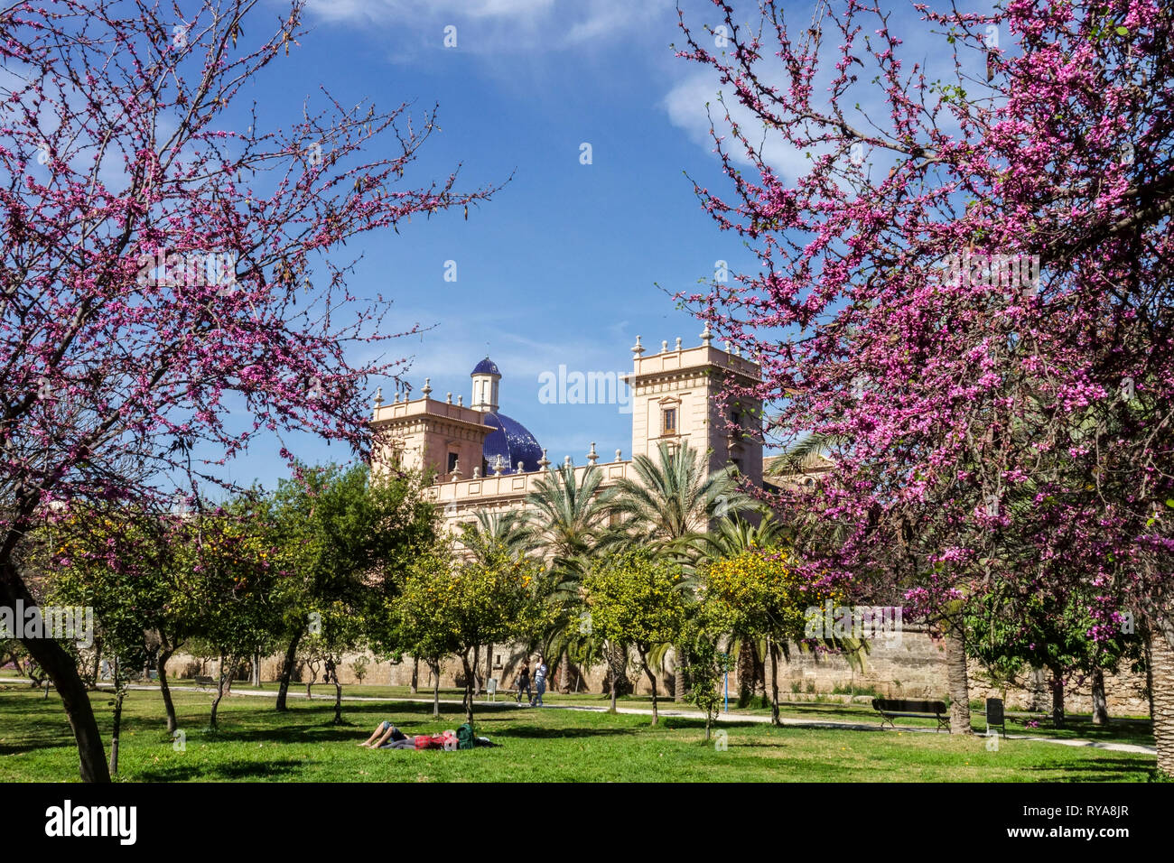 Turia Gardens High Resolution Stock Photography and Images - Alamy