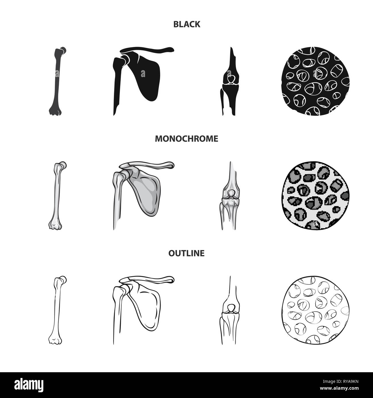 femur,fiber,broken,pelvis,bony,healthy,fibula,hip,leg,scientific,shin ...