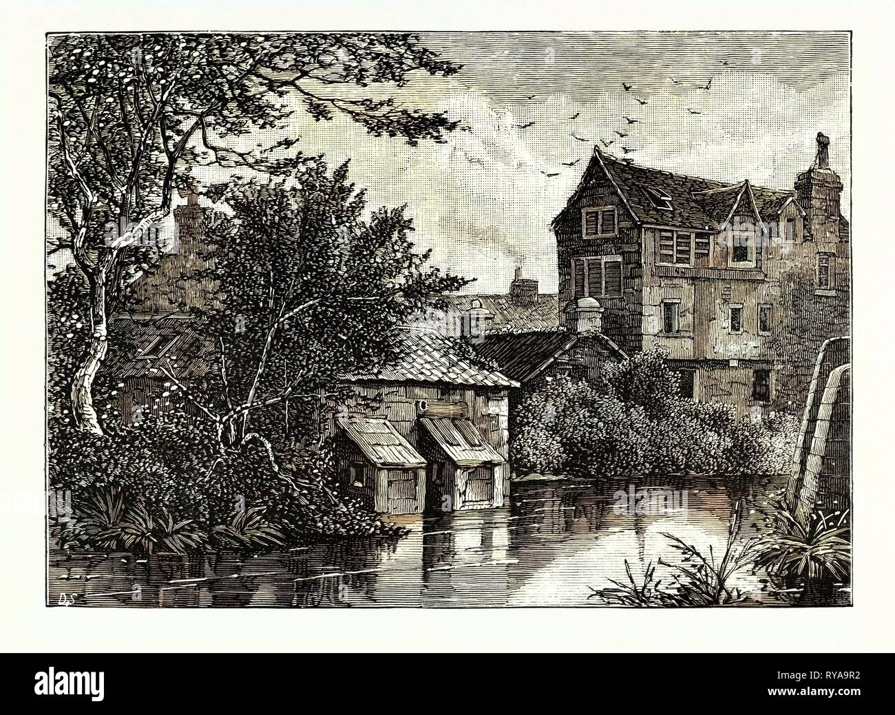 Bonnington hi-res stock photography and images - Alamy