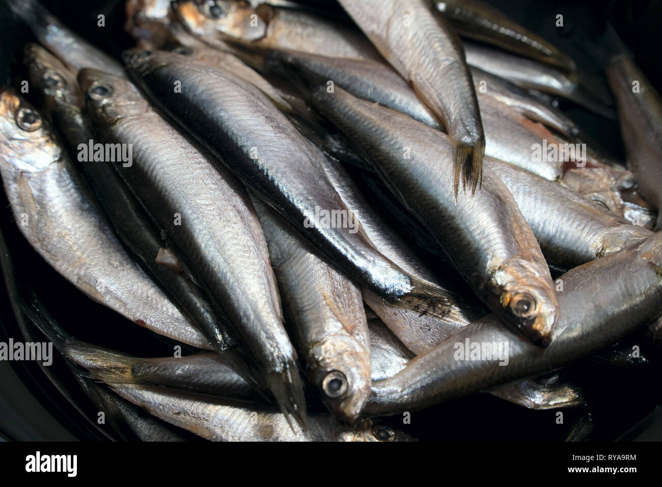 Sea fish sprat black plate. photos in the dark key Stock Photo - Alamy