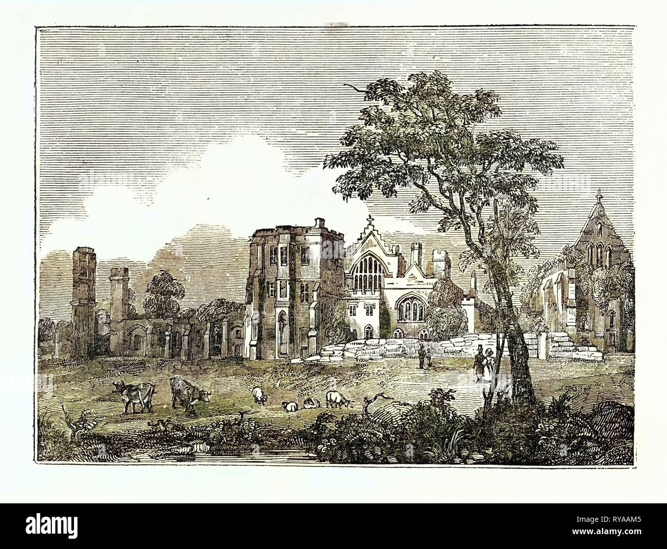 Battle Abbey Sussex Stock Photo - Alamy