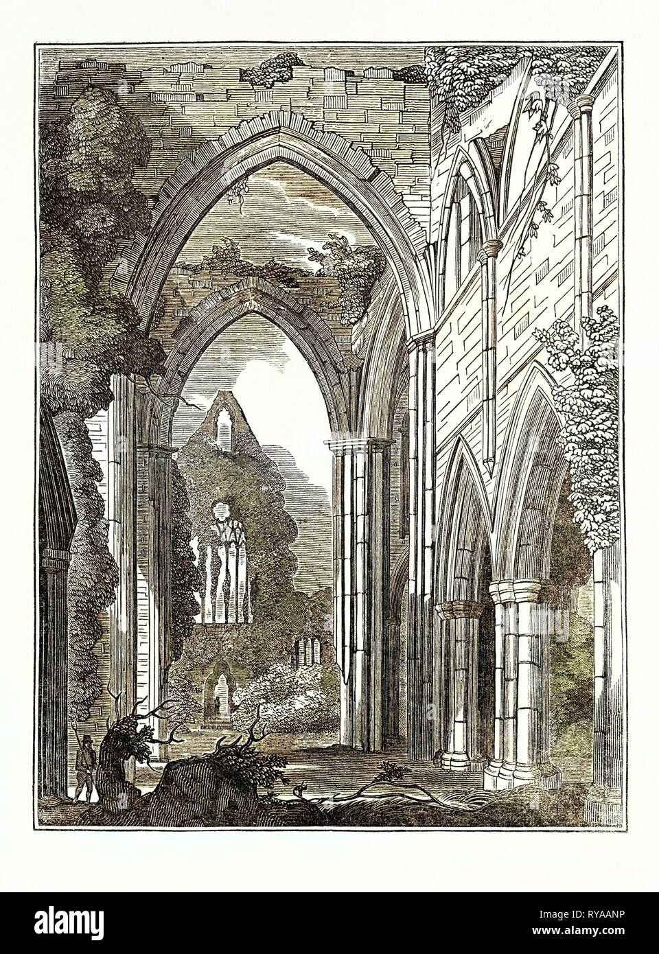 View of Tintern Abbey Stock Photo - Alamy