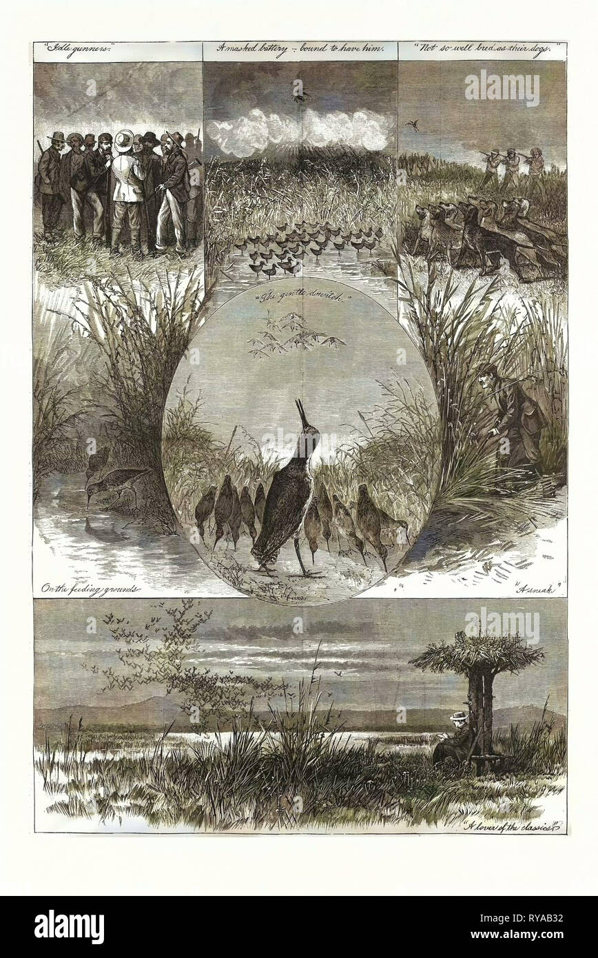 Vintage 19th century old drawing hi-res stock photography and images ...