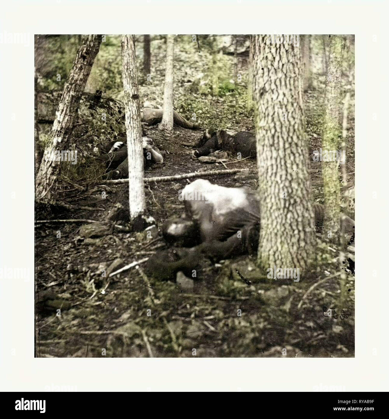 American Civil War: The Slaughter Pen at Gettysburg, Dead Soldiers in ...