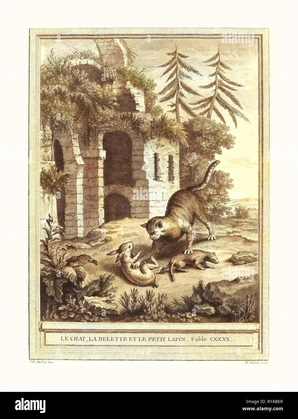 Martin Marvie after Jean Baptiste Oudry (French, 1713 1813 ), Le Chat ...