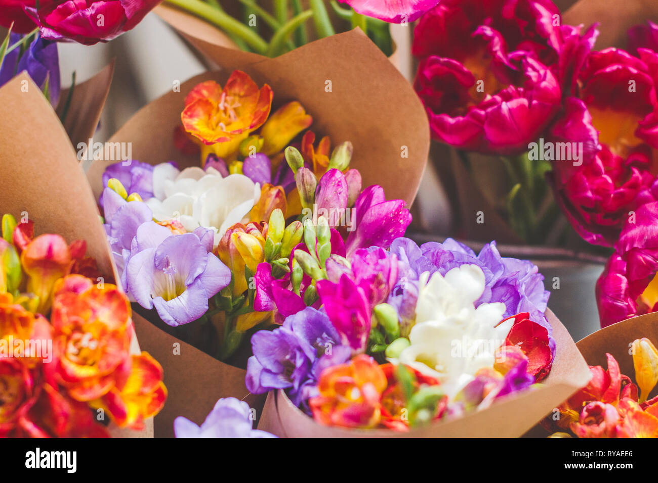 Bouquet of colorful fresh freesia in a craft paper background Stock ...