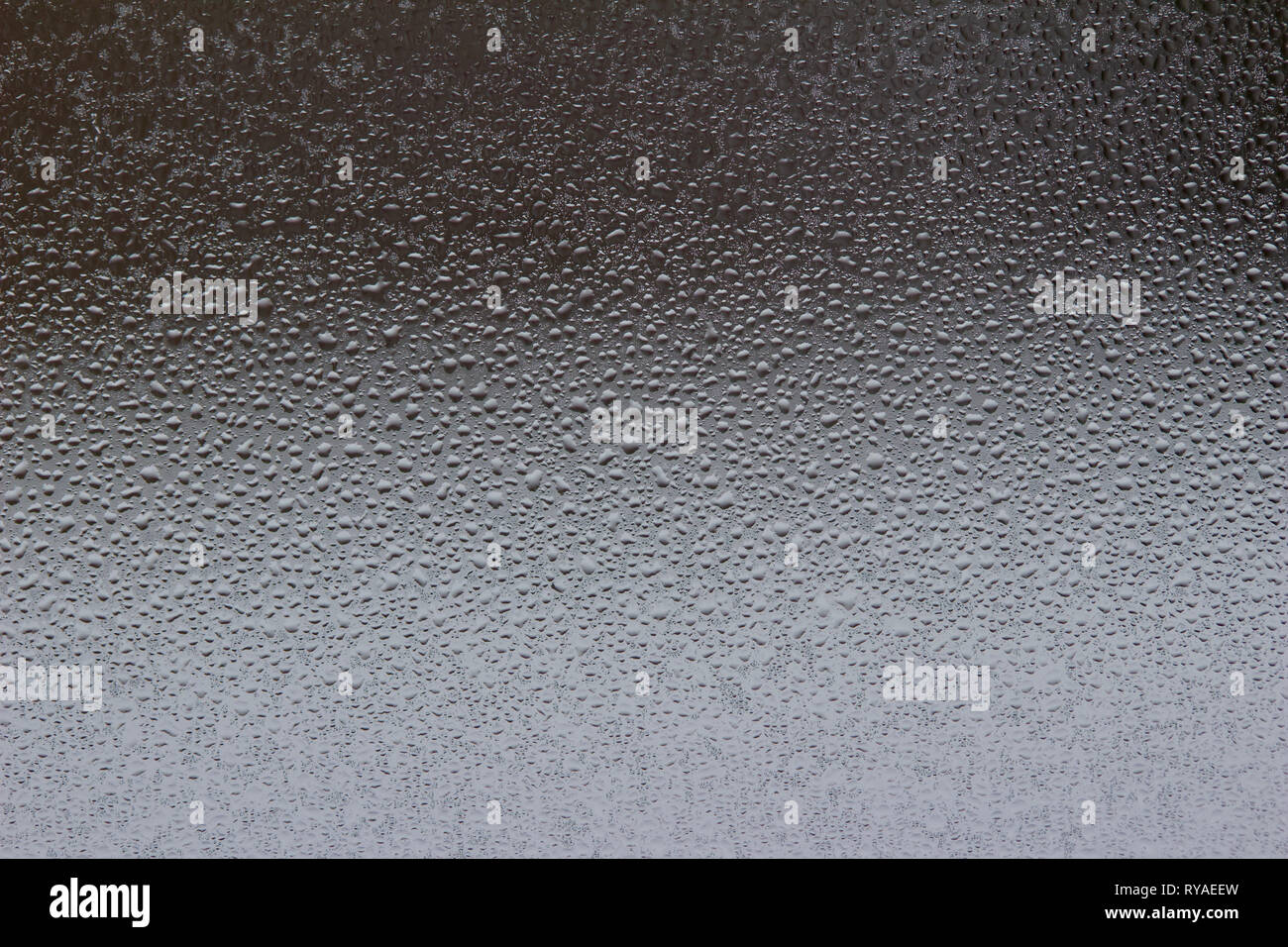 Condensation beads hi-res stock photography and images - Alamy