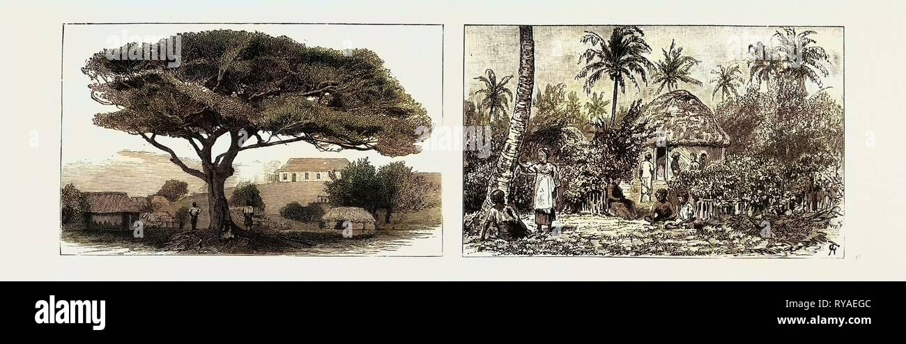 Vavau tongan village hi-res stock photography and images - Alamy