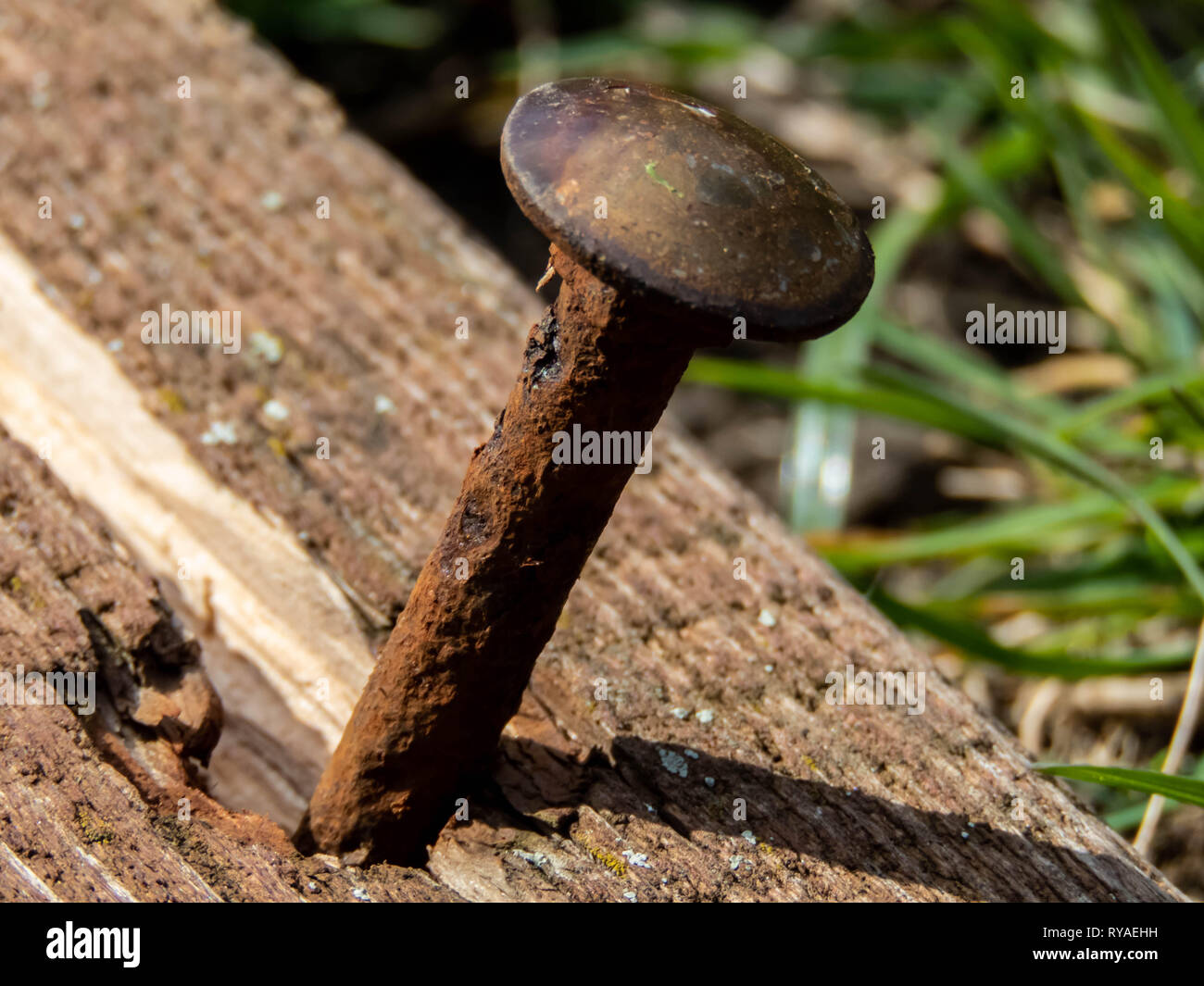 Rusty nail hi-res stock photography and images - Alamy
