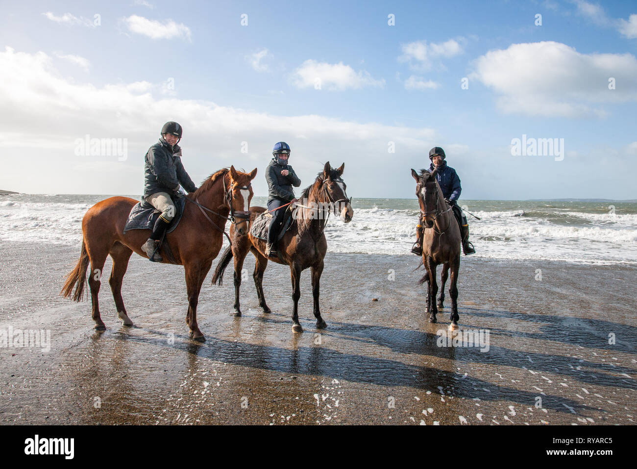 Garrettstown, Cork, Ireland. 13th March, 2019. In the aftermath of ...