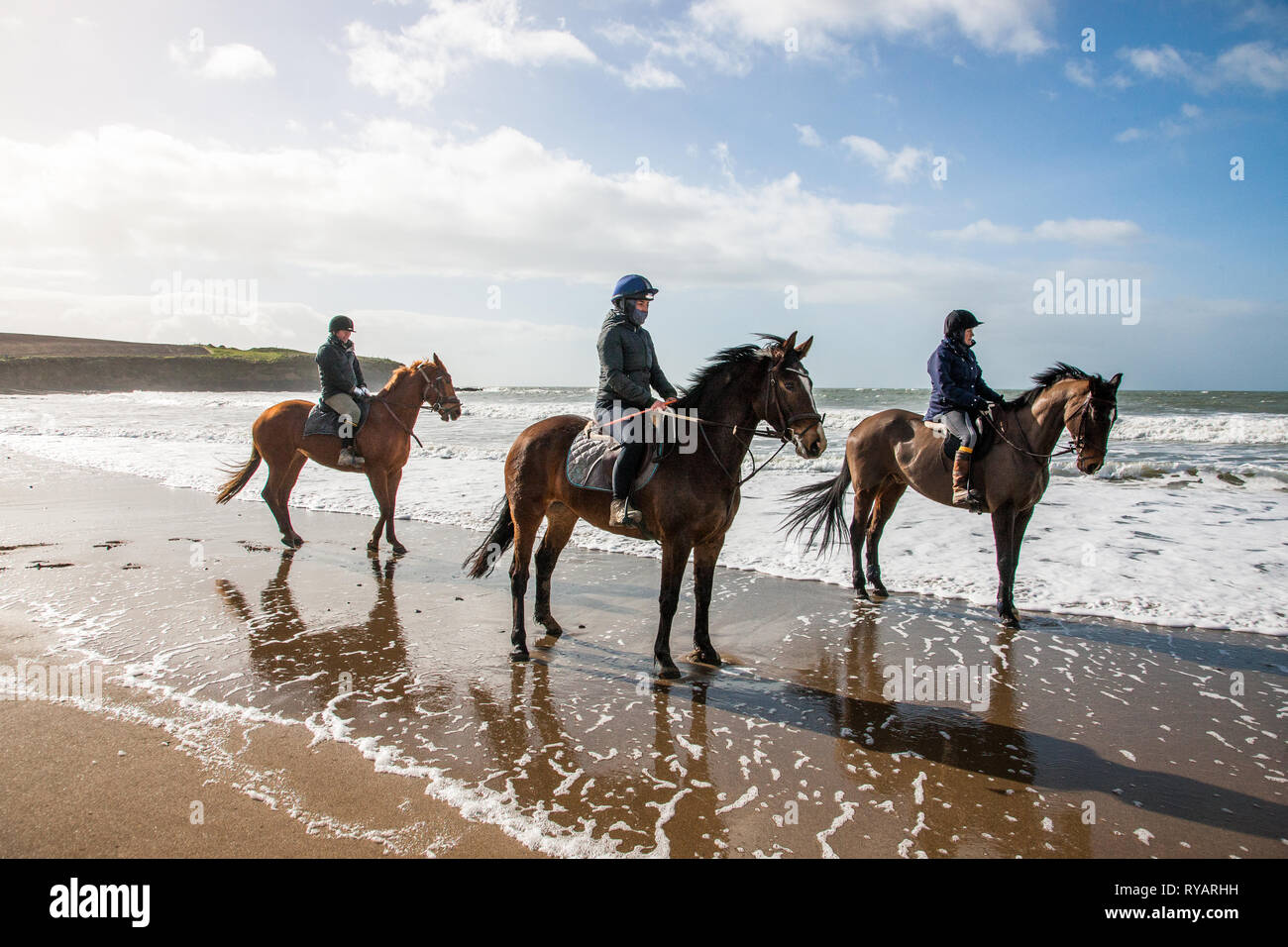 Garrettstown, Cork, Ireland. 13th March, 2019. In the aftermath of ...