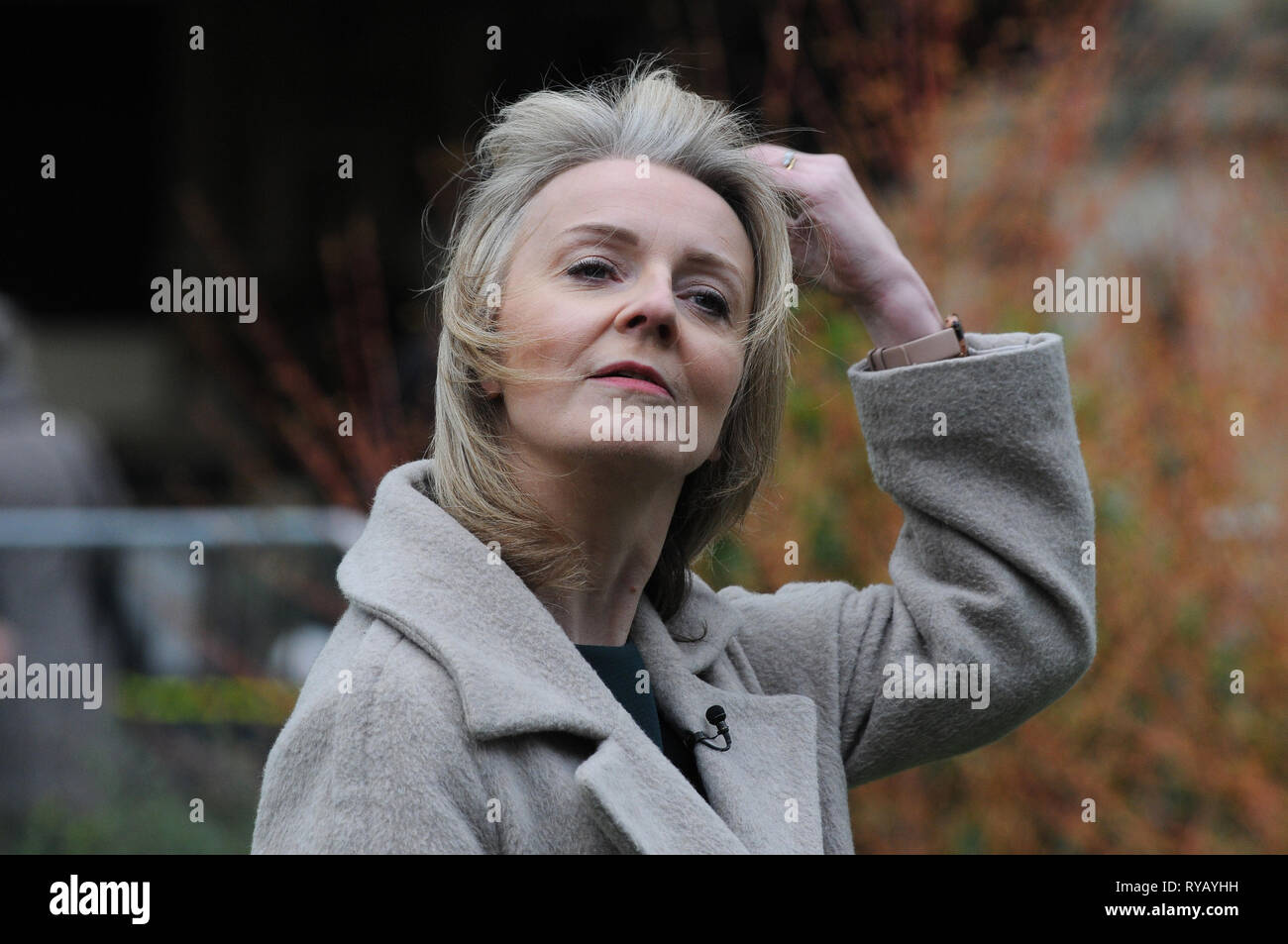 Liz truss mp for south west norfolk hi-res stock photography and images ...
