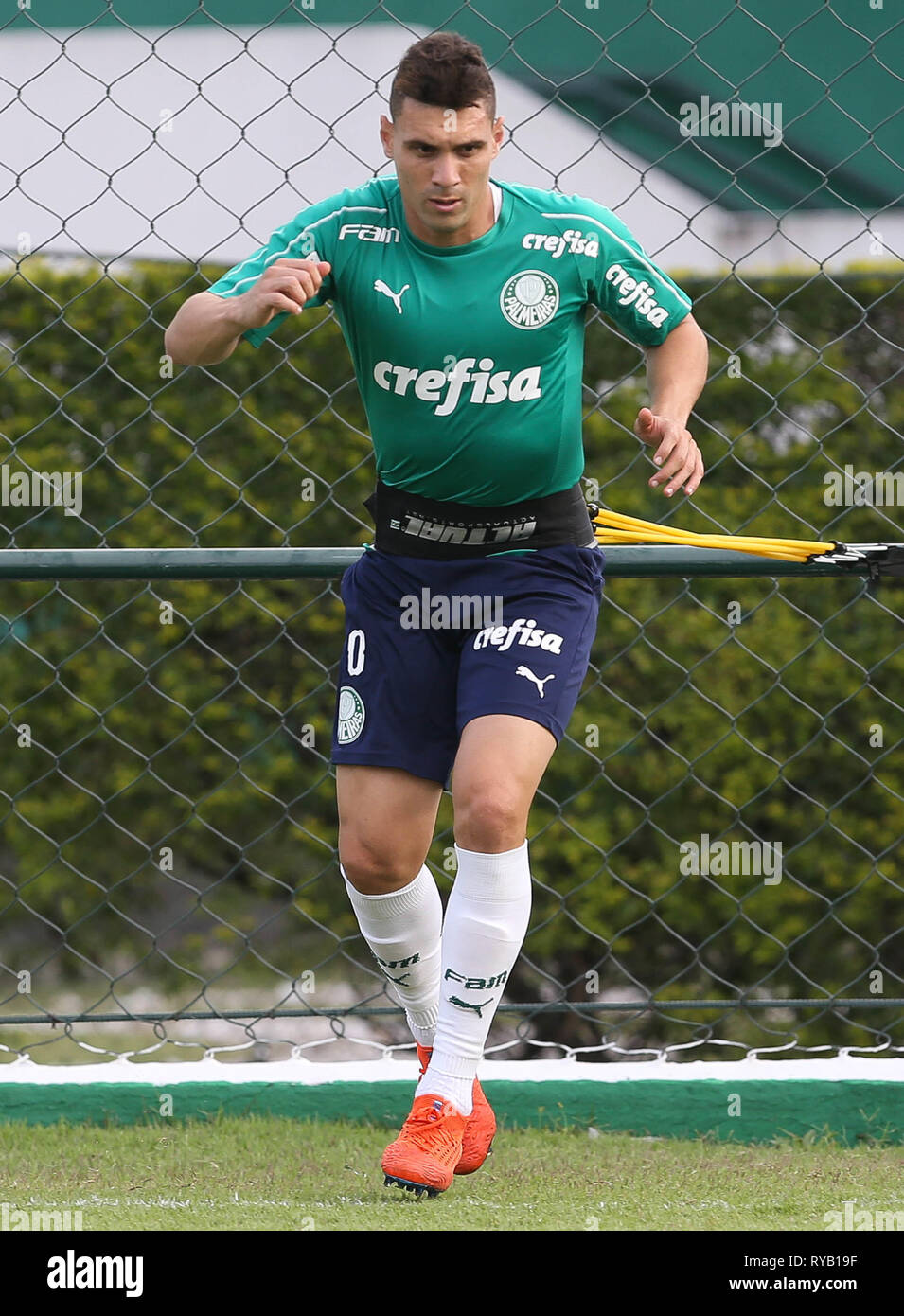 SÃO PAULO, SP - 13.03.2019: TREINO DO PALMEIRAS - The player Moisés, of ...