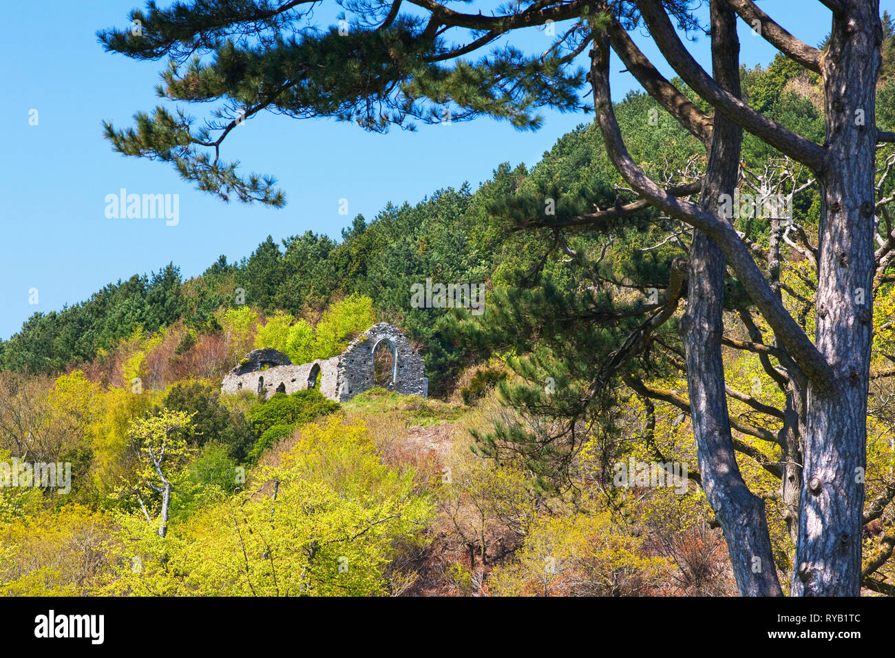 Capel mair ruins hi-res stock photography and images - Alamy