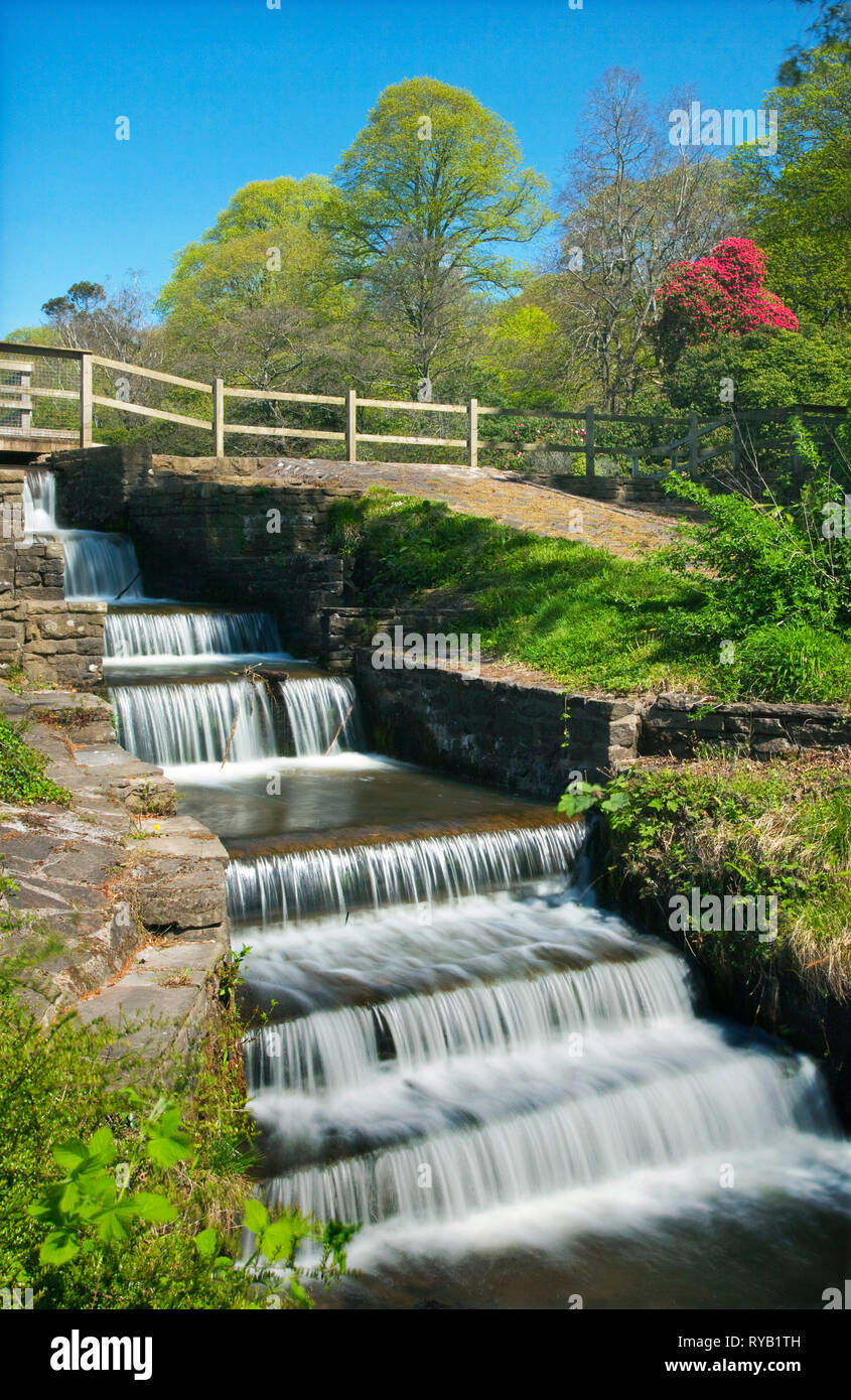 Margam Park, Port Talbot, Wales, UK Stock Photo - Alamy