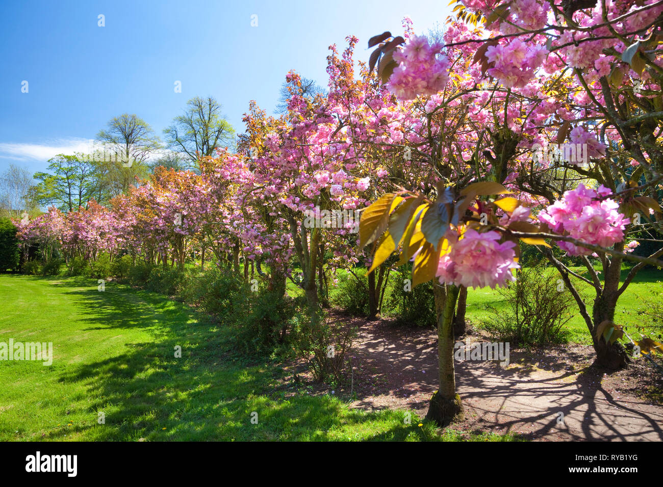 Margam Park Port Talbot High Resolution Stock Photography and Images ...