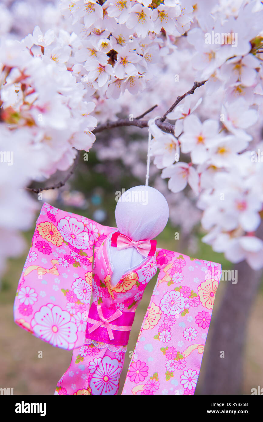 Teru Teru Bozu. Japanese Rain Doll hanging on Sakura tree to pray for ...