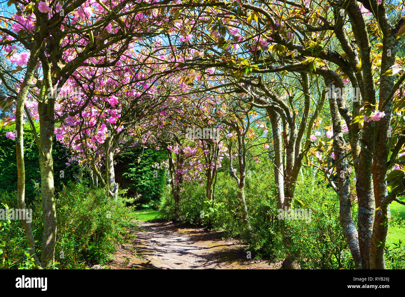 Margam Park, Port Talbot, Wales, UK Stock Photo - Alamy