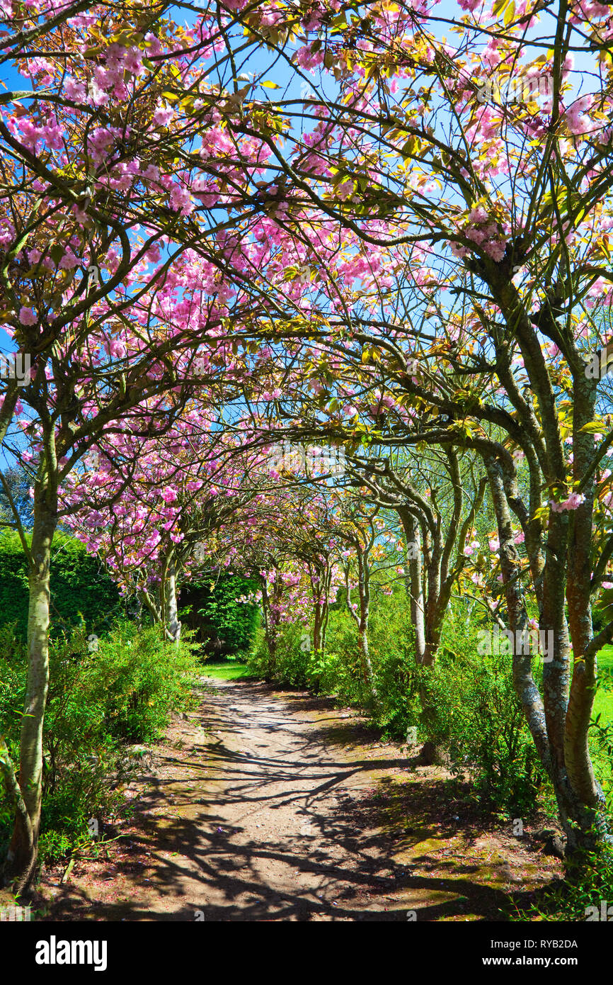 Margam Park, Port Talbot, Wales, UK Stock Photo - Alamy