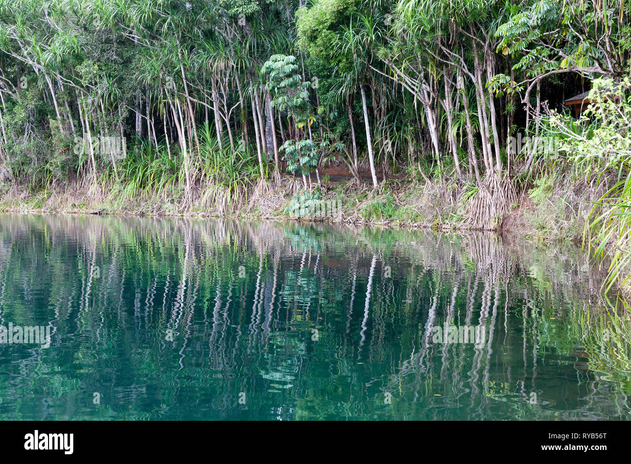 View of Lake Eacham, a popular lake of volcanic origin on the Atherton ...