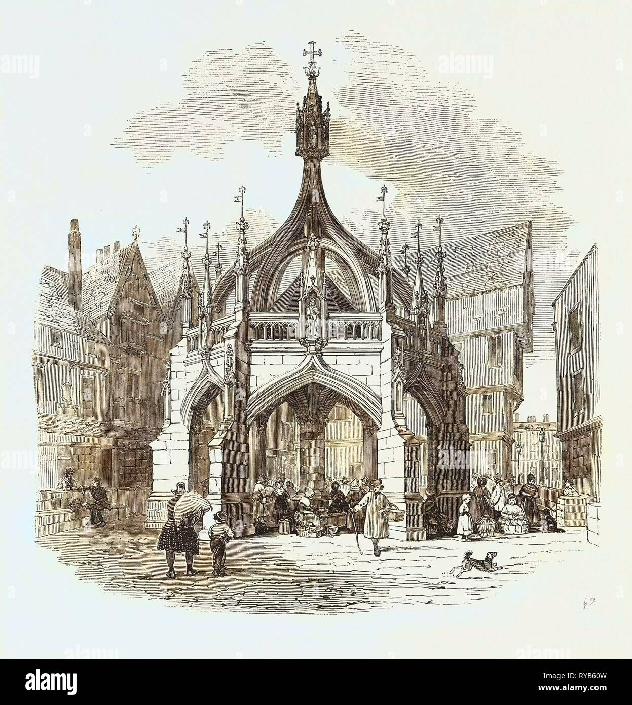 Poultry cross hi-res stock photography and images - Alamy