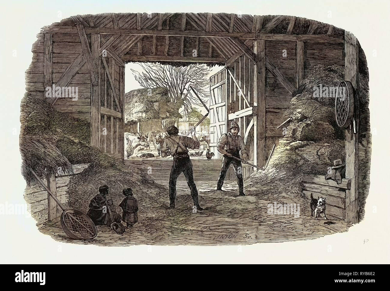 Thrashing hi-res stock photography and images - Alamy