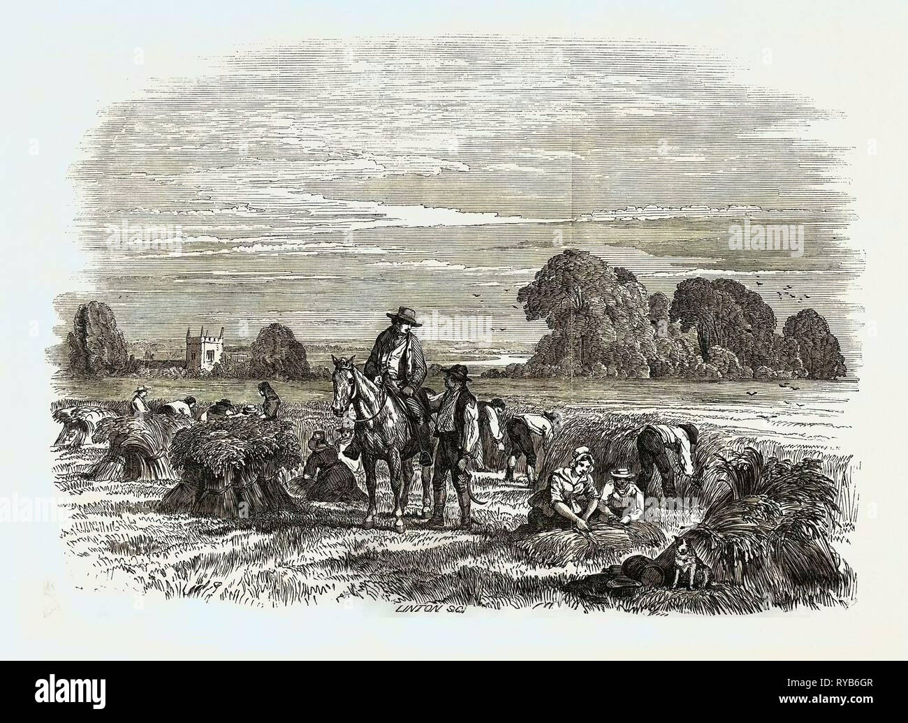 Wheat harvest vintage hi-res stock photography and images - Alamy