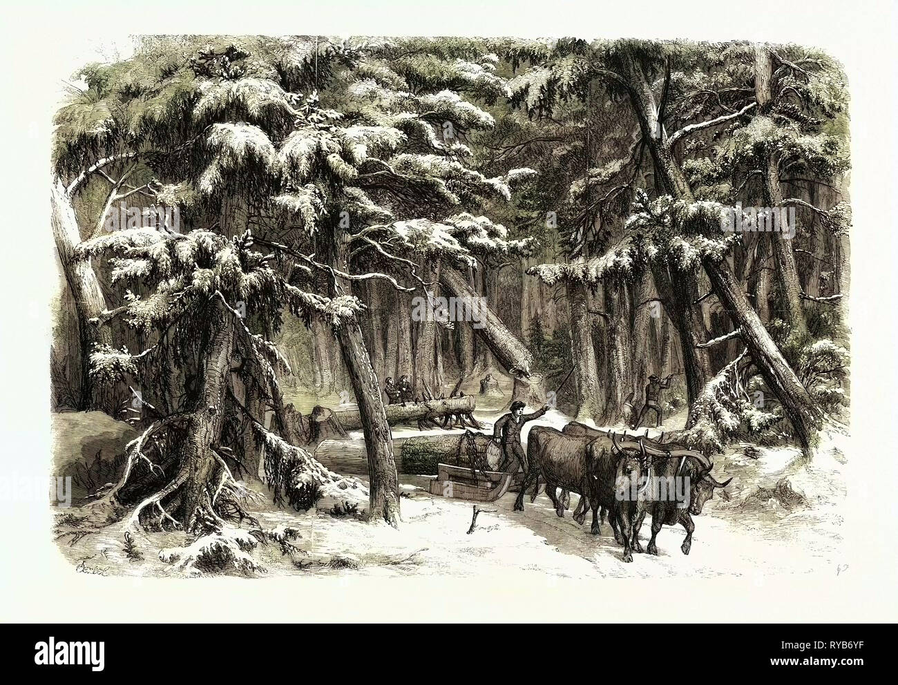 Lumbermen hi-res stock photography and images - Alamy