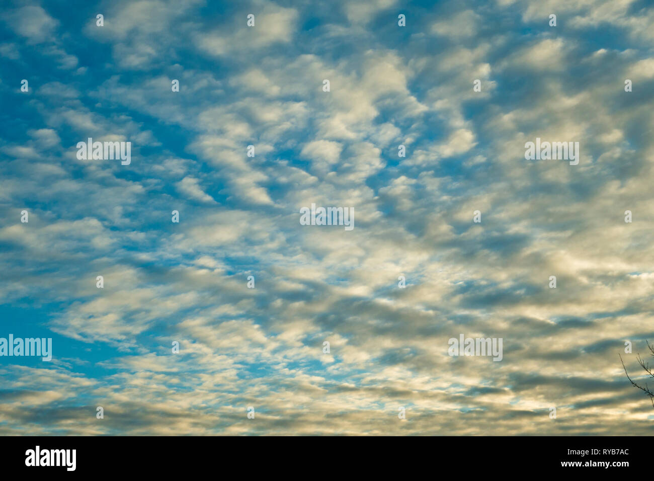 Altocumulus Clouds Satellite