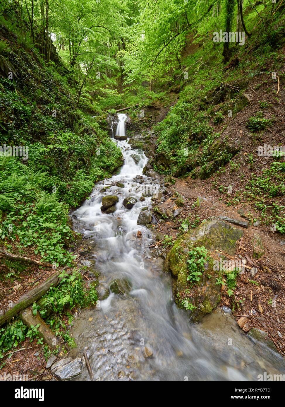 Powerful stream in spring forest. Waterfall in the forest. Mountains in ...