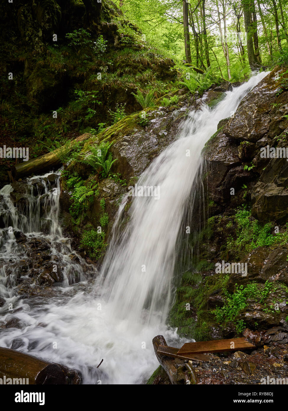 Powerful creek with a waterfall in the spring forest. Waterfall in the ...