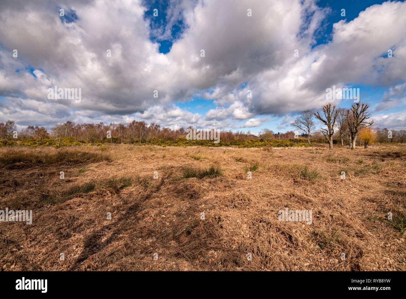 Chailey common hi-res stock photography and images - Alamy