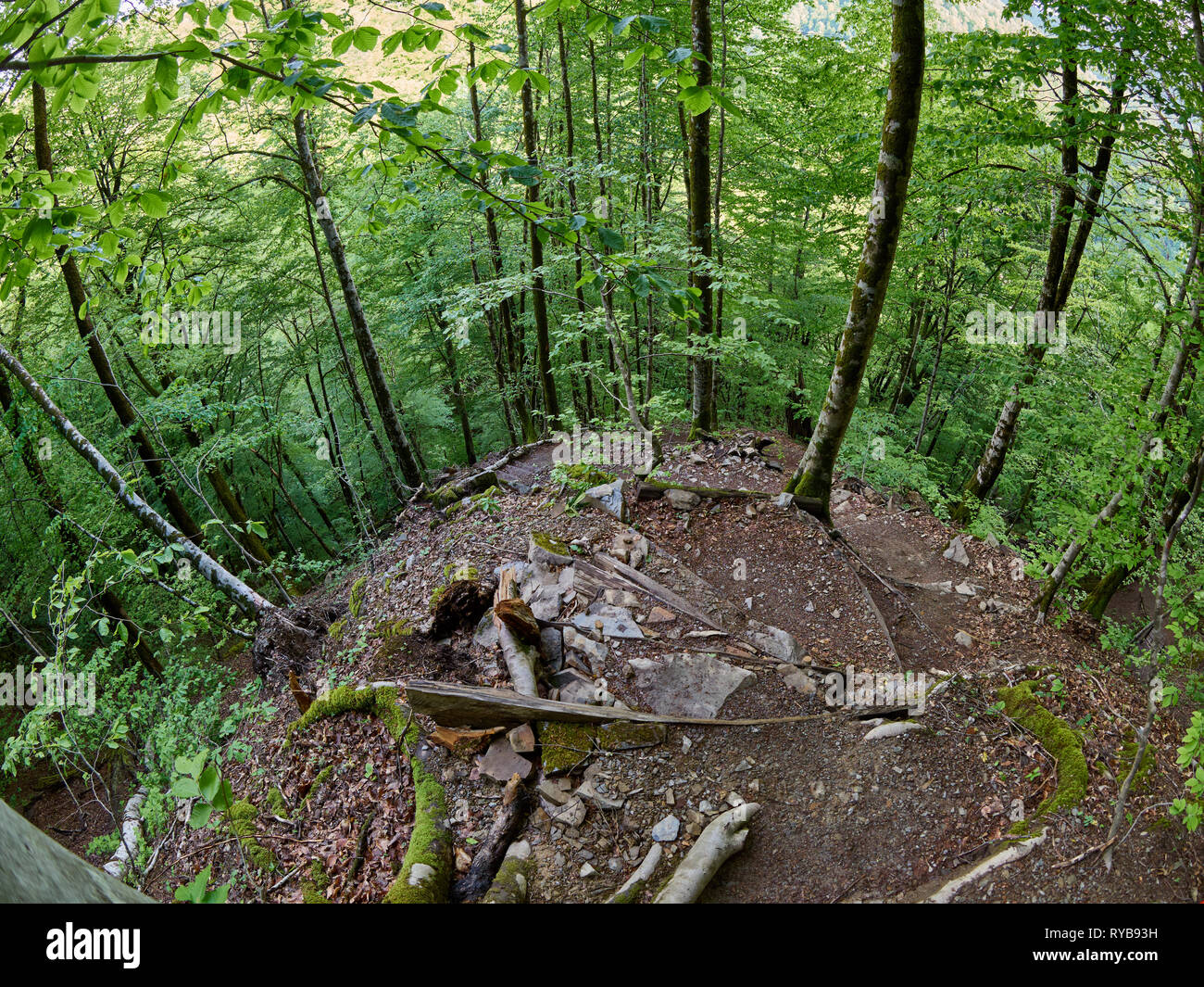 Hiking trail descends from a very steep slope in the spring forest ...