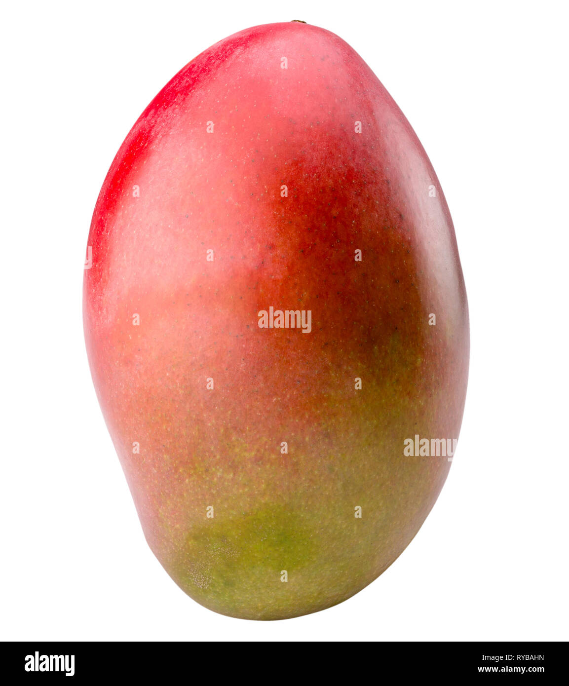 mango isolated on a white background Stock Photo - Alamy
