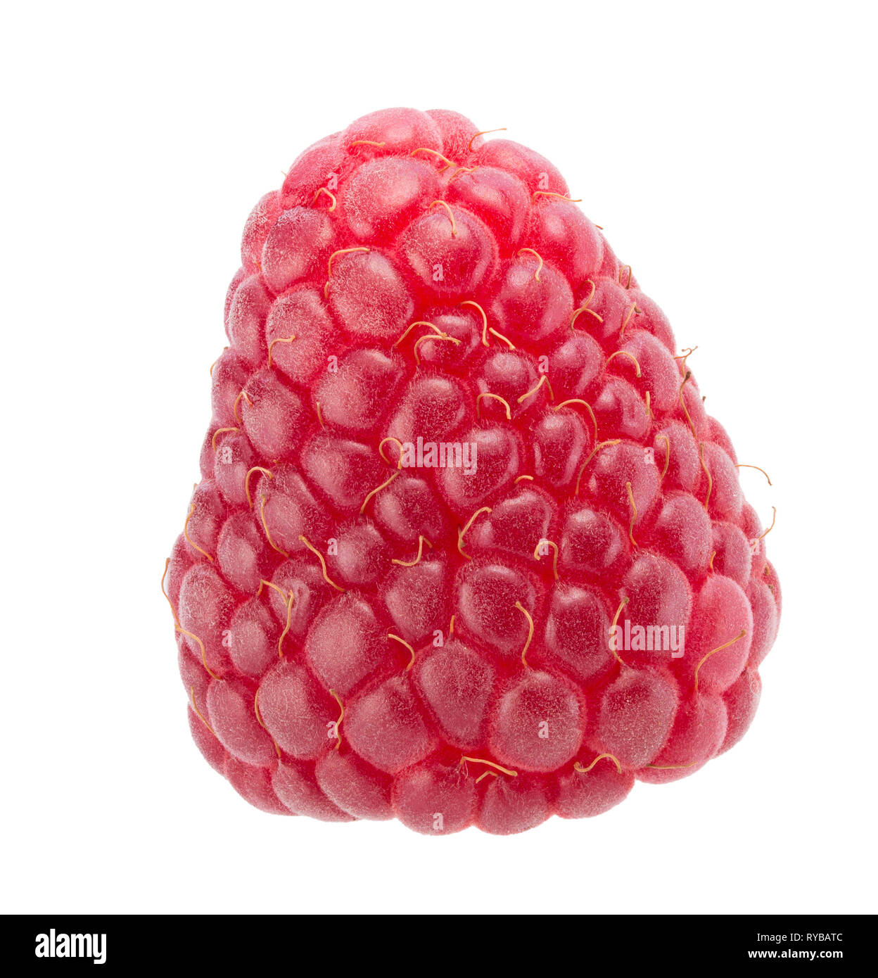 raspberry isolated on a white background Stock Photo - Alamy