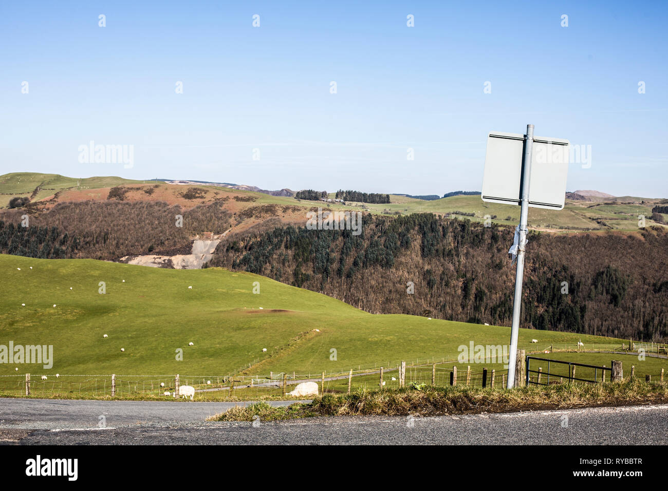 Woodland growing fencing hi-res stock photography and images - Alamy